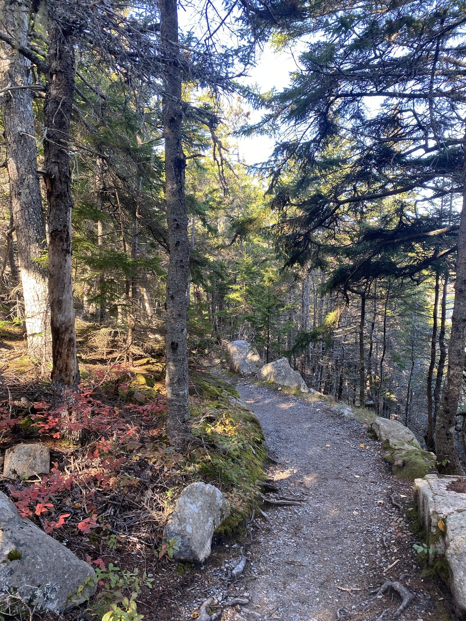 Four Hour, The Way Life Should Be Tour | Private Tours of Acadia ...